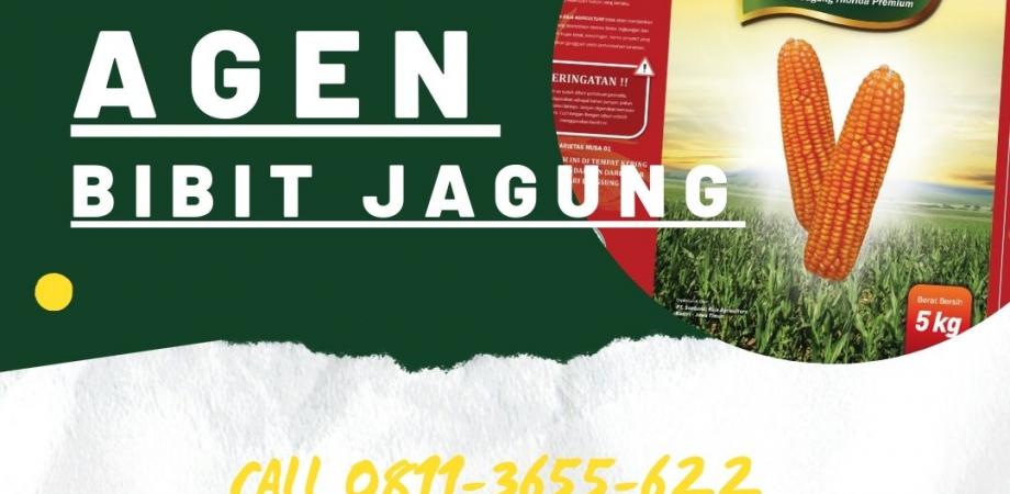 TERUNGGUL, Call 0811-3655-622, Benih Jagung Hibrida Soebandi Raja | Peatix