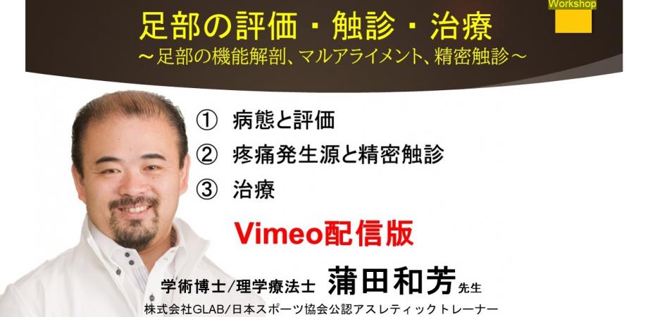 足部の評価・触診・治療 ～足部の機能解剖、マルアライメント、精密触診～ 蒲田和芳先生 録画配信 | Peatix