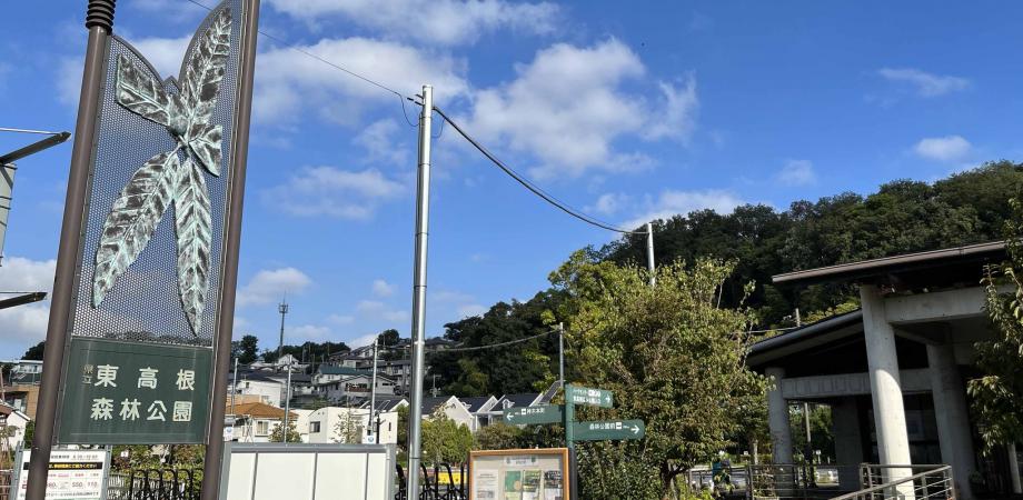 12月の散歩会@東高根森林公園 | Peatix