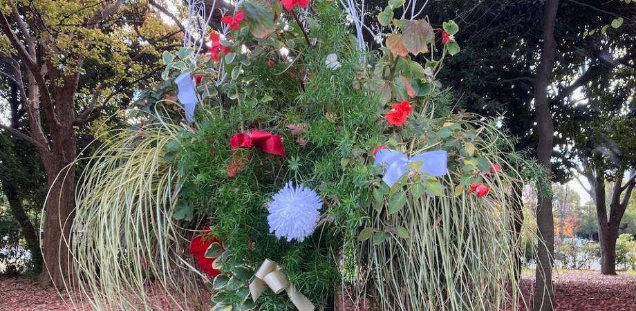 冬の飾りつけ＠都立木場公園 | Peatix