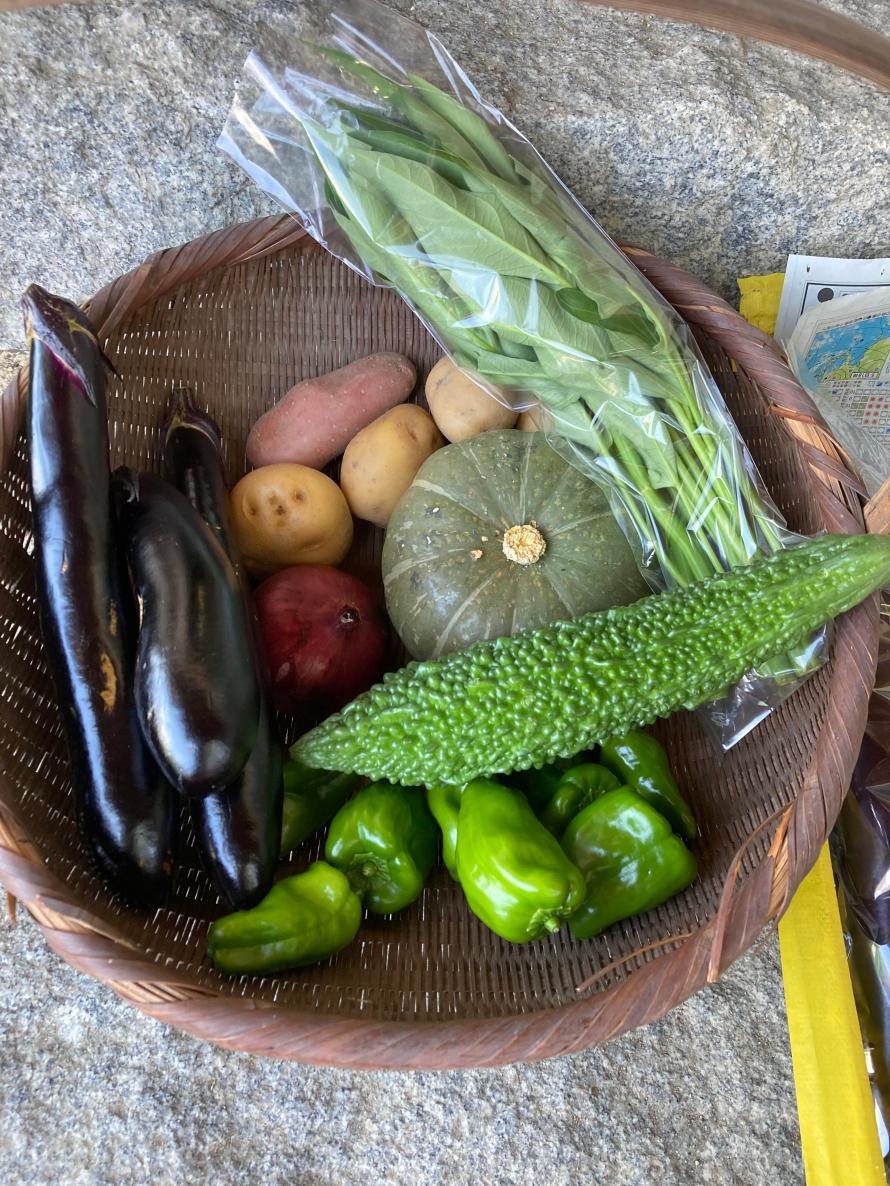 23年第3回 My LFC ファーマー【年間コース】 | Peatix