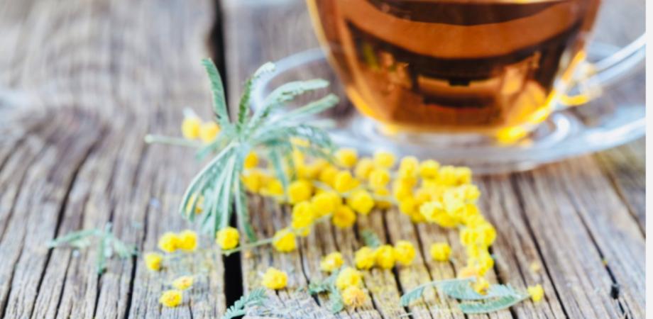 [オンライン] マザーズ・ダイアローグ・カフェ ＃33 | Peatix