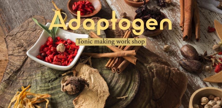 Adaptogen Workshop 3/25(Sat) #4 | Peatix