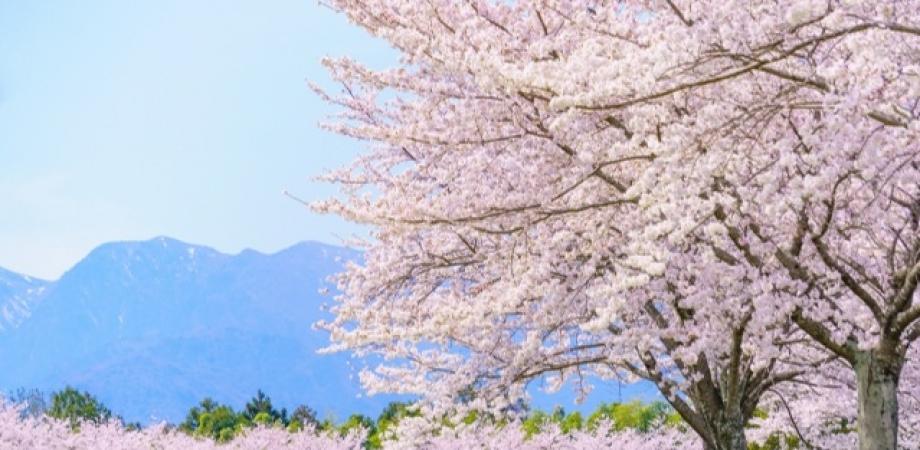 2023.4.1 サトリズムTVトーク＆ライブin津山 | Peatix