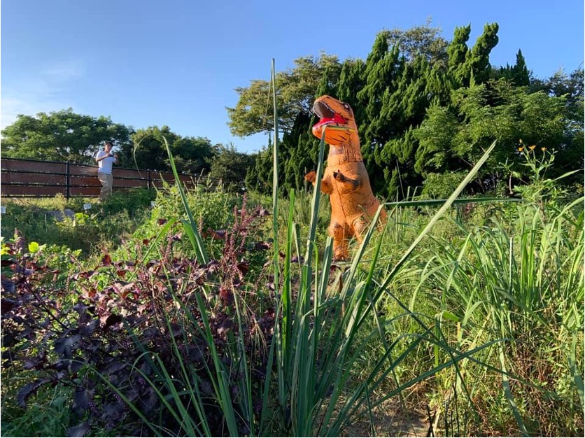 協生農法で食べられる公園をつくろう〜PLANETARY HEALTH ACTION#2 | Peatix