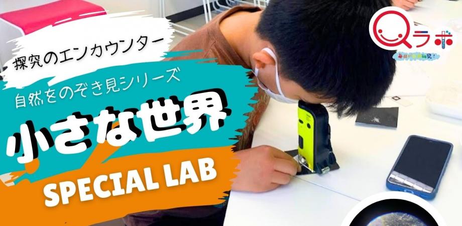 探究のエンカウンター【☆自然をのぞき見シリーズ☆小さな世界を見てみよう！】 | Peatix