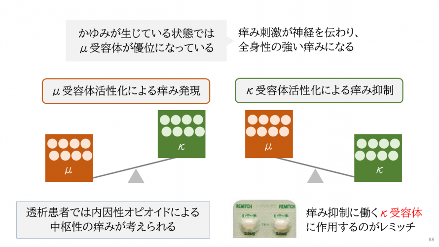 透析の合併症（5/20,5/21） | Peatix