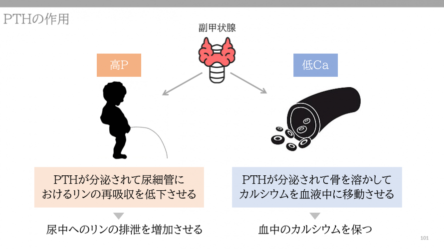 透析の合併症（5/20,5/21） | Peatix
