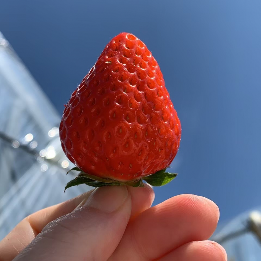 仕事時間を賢くつかおう！「働く女性のタスク管理」を紹介！【Morning up 8!】 | Peatix