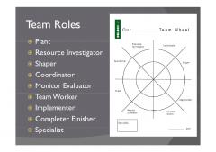 Belbin team role test pdf - bangkokadams