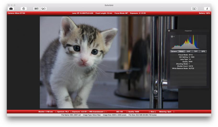 Save The Cat Software Mac | Peatix