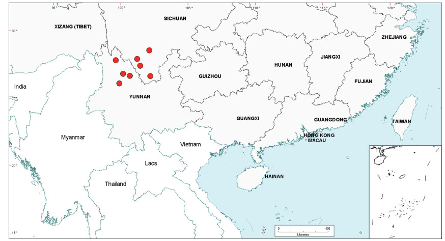 Jamaica Road Code Book Pdf 57 UPDATED | Peatix