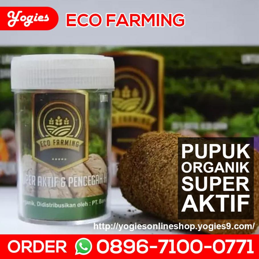 YOGIES 0896-7100-0771, Harga Pupuk Organik Eco Farming Untuk Jagung Terkenal Terdekat Di Kiara ...