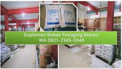 HIGH QUALITY, TELP/WA 0821–2345–5940, Vitamin Untuk Bebek Biar Nafsu Makan Bekasi | Peatix