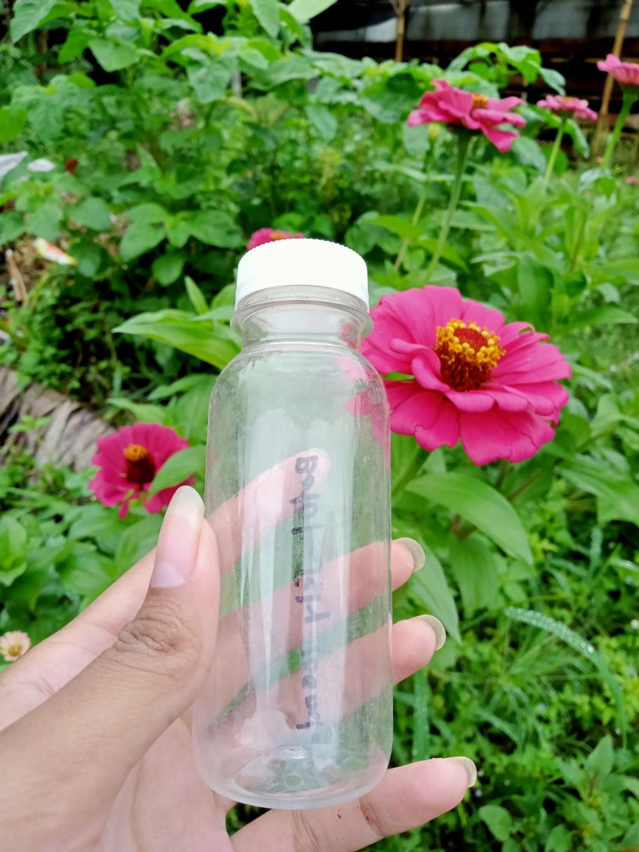 TERMURAH! TELP! 085339479962, AGEN Botol Cantik 600 ml Semarang ...