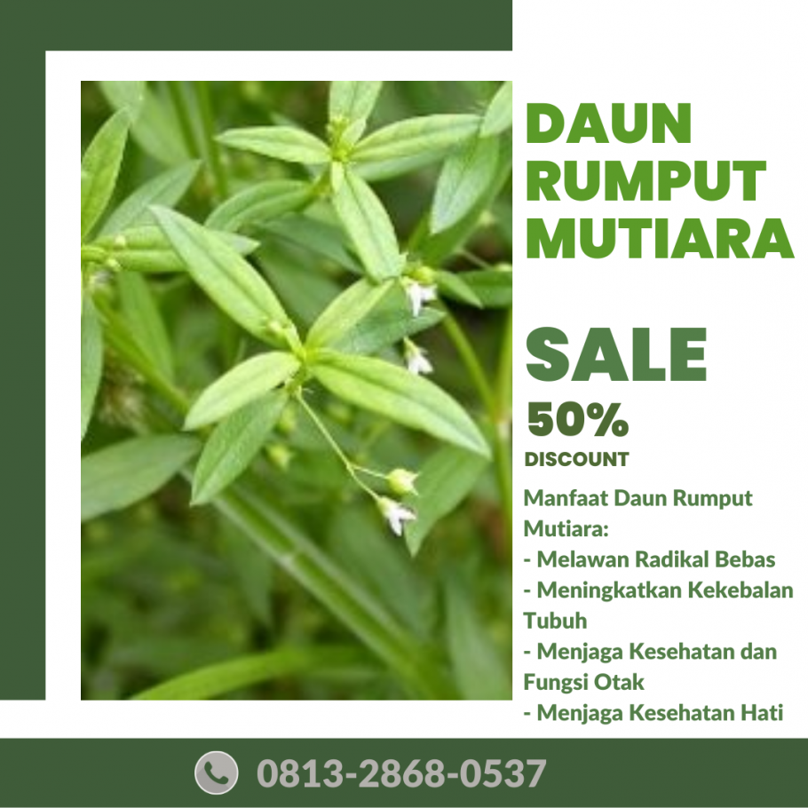 HIGENIS!!, CALL 0813-2868-0537, Pusat Budidaya Herbal Daun Rumput ...