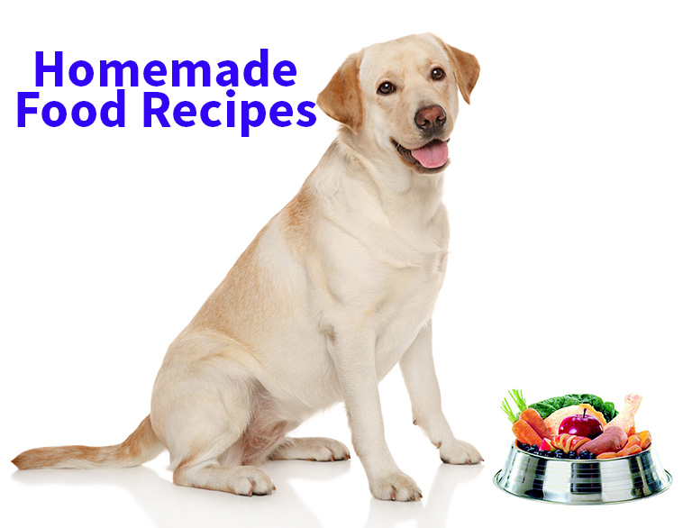 DIY Dog Food: Homemade Recipes for Labrador Retrievers | Peatix