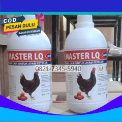 WA 0821-2345-5940, Obat Untuk Ayam Petelur Agar Cepat Bertelur Maron ...