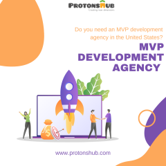 Professional MVP Development Services from a Protonshub Technologies | Peatix