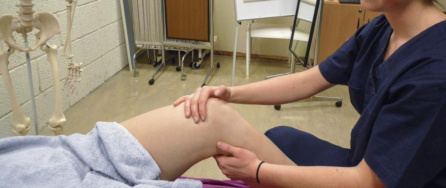 《ACL損傷》競技復帰に向けたリハビリテーションプログラムの組み立て方 | Peatix