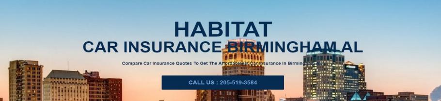 Palm Cheap Car Insurance Birmingham AL | Peatix