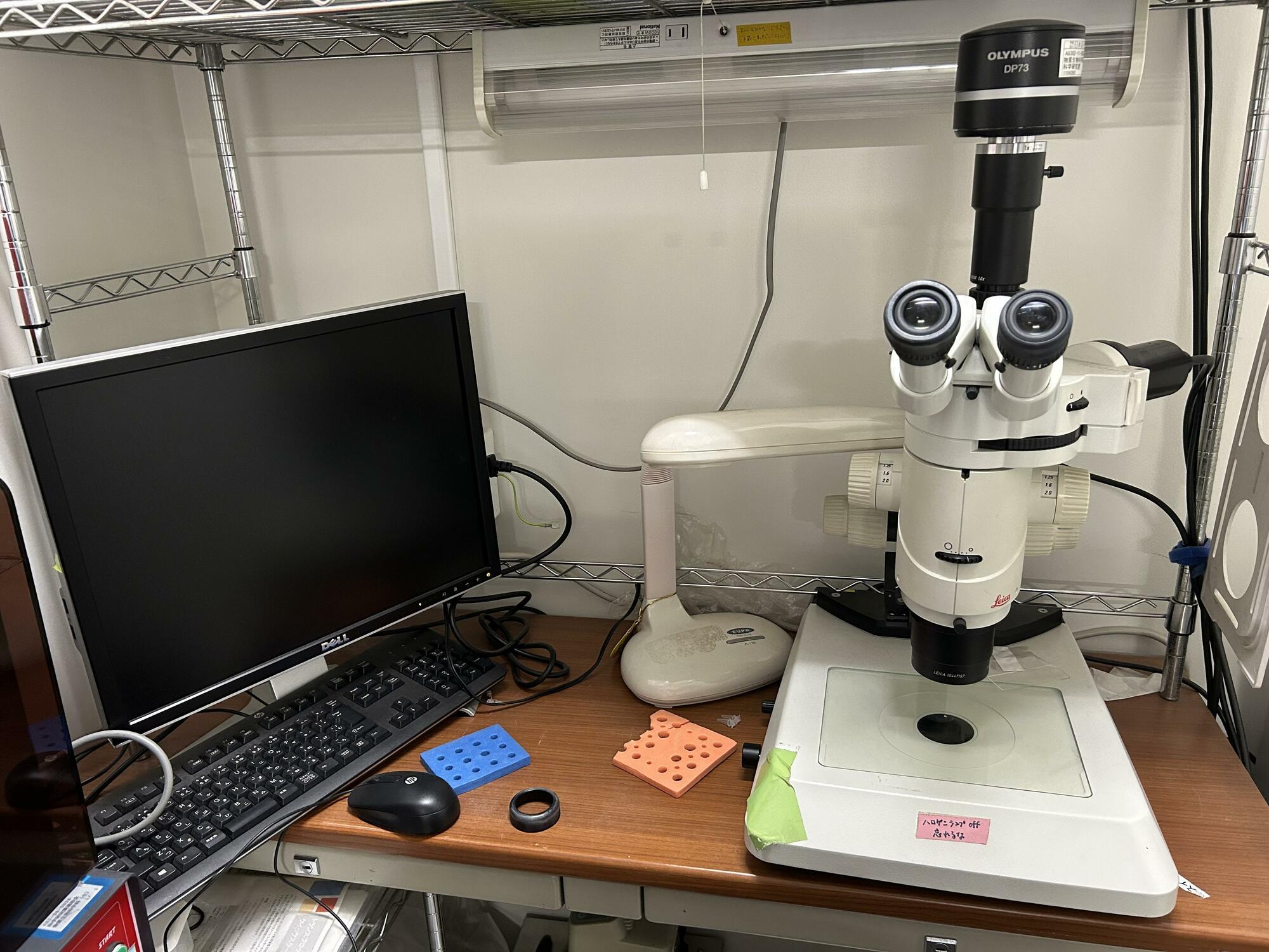 Fluorescence stereo microscope | Sekimoto laboratory - Japan Women’s ...