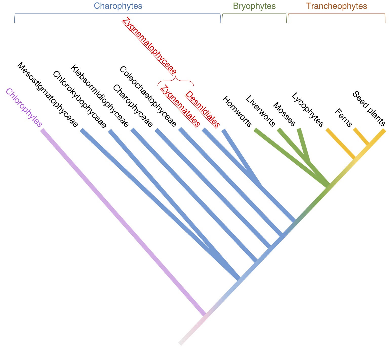 Introduction | Sekimoto laboratory - Japan Women’s University