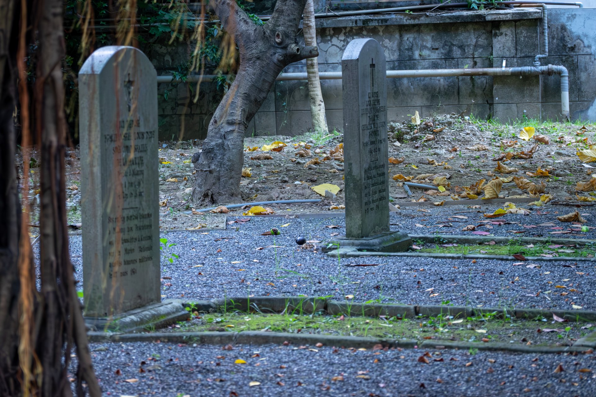 眼底。沙灣－基隆沙灣歷史文化園區雙語智慧導覽 Eye on Shawan - Keelung Shawan History and ...