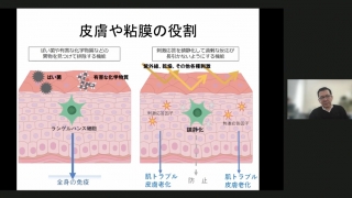 デンチャープラーク研究から見出したL8020乳酸菌と抗菌剤Etak | WHITE CROSS
