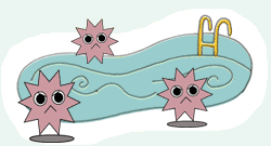 大人も子供も要注意！「夏に流行る感染症」 | HelC（ヘルシー）