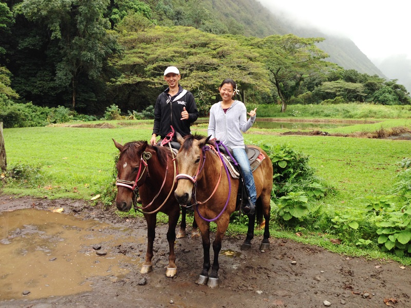 JALオプショナルツアー予約キャンペーン - Powered by VELTRA