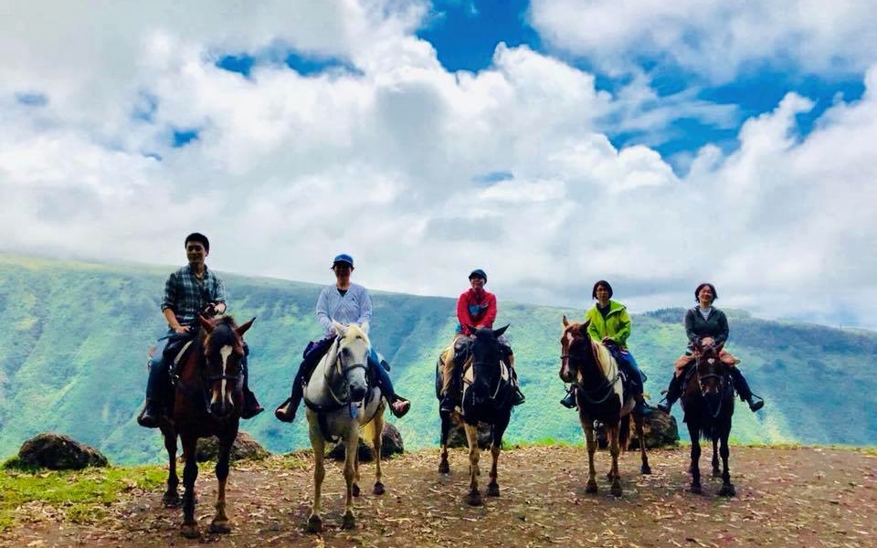 JALオプショナルツアー予約キャンペーン - Powered by VELTRA