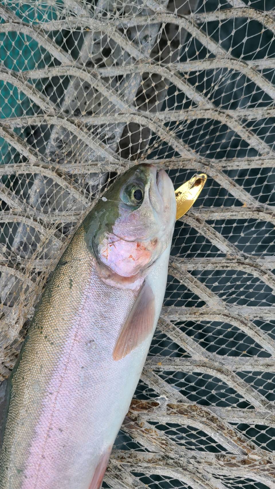 22ソアレSS S86MLT★ご紹介★ – BiG Berry 大阪狭山池之原店（OsakaSayamaIkenohara）