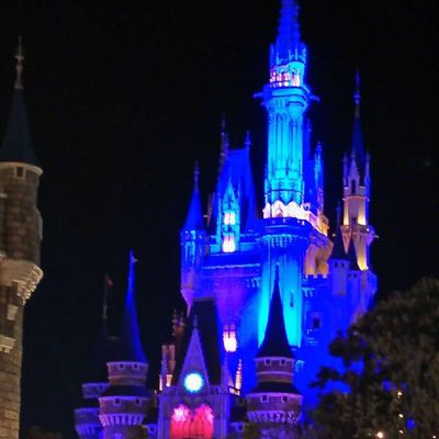 きょうこシェフのプロフィール | SHAREDINE