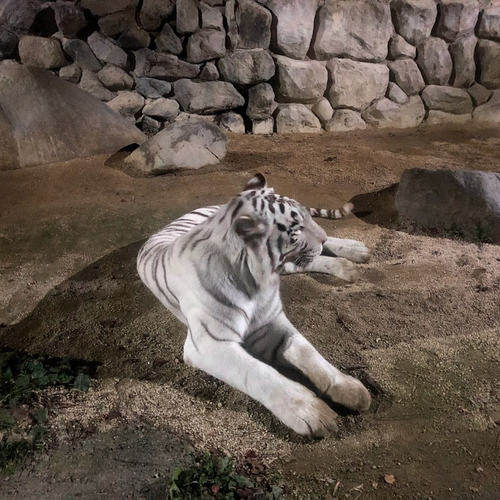 philip_moris - Qiita