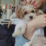 FullCalendar.jsを使ってカレンダーFlaskアプリを作る - Qiita