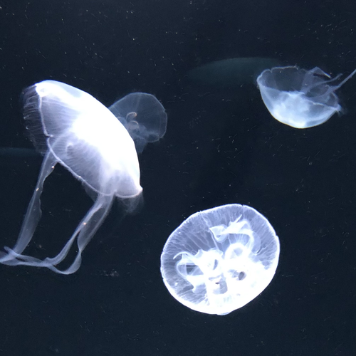 脱Excelでシステム設計書を作成する(ツール選定編) - Qiita