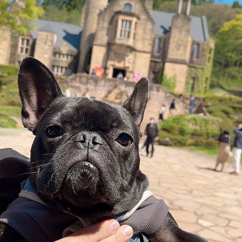 tarotaro_swift - Qiita