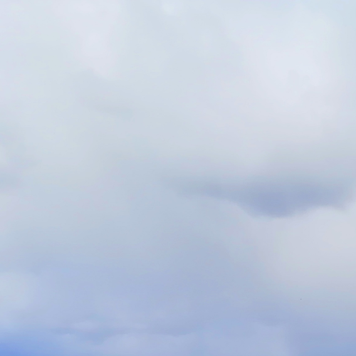 Docker上のFRRoutingでMPLS-VPNを動かしてみる - Qiita