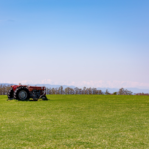 Members - 千株式会社 | Qiita - Qiita