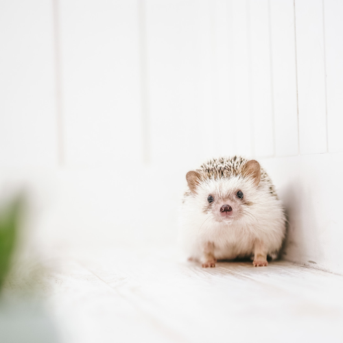 Railsでdeviseを追加したいのにbundle installができない - Qiita