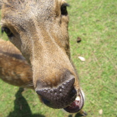 [Python][Tips] 処理時間の計測 - Qiita