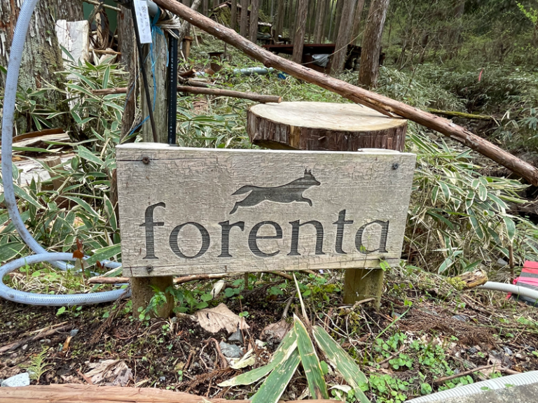 real local 名古屋【岐阜県・東白川村】誰もが森林の恩恵を享受できる社会へ | reallocal｜移住やローカルまちづくりに興味がある人のためのサイト【インタビュー】