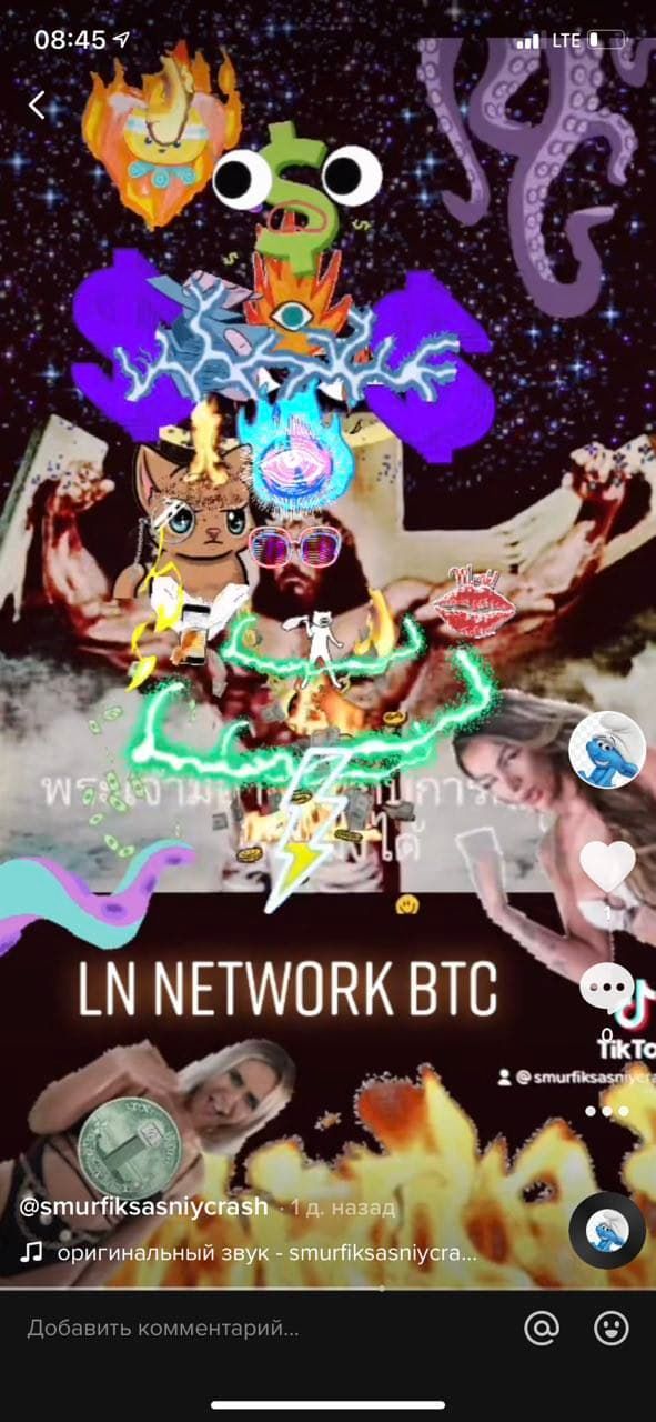 true insider crypto jesus | Temierpajarhan | Spotlight