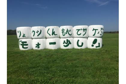 第46回別海町パイロットマラソン - RUNNET ランネット・大会ガイド&エントリー