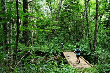 志賀高原100 - RUNNET ランネット・大会ガイド&エントリー