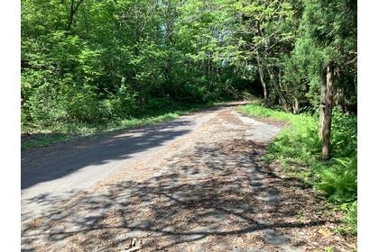 第3回いずもざきマラソン'25 - RUNNET ランネット・大会ガイド&エントリー