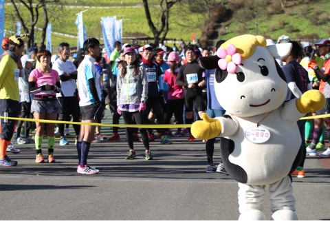 第14回クリスマストレイルラン（20km&駅伝） - RUNNET ランネット・大会ガイド&エントリー