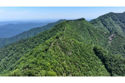 第4回 奥武蔵ロングトレイルレース105K &105Kペア ＆ 35K & 20K - RUNNET ランネット・大会ガイド&エントリー