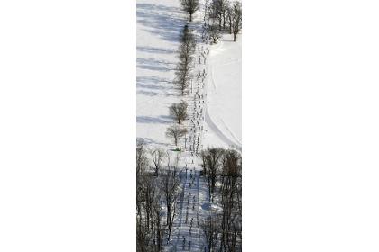 第46回札幌国際スキーマラソン【歩くスキー】 - RUNNET ランネット・大会ガイド&エントリー